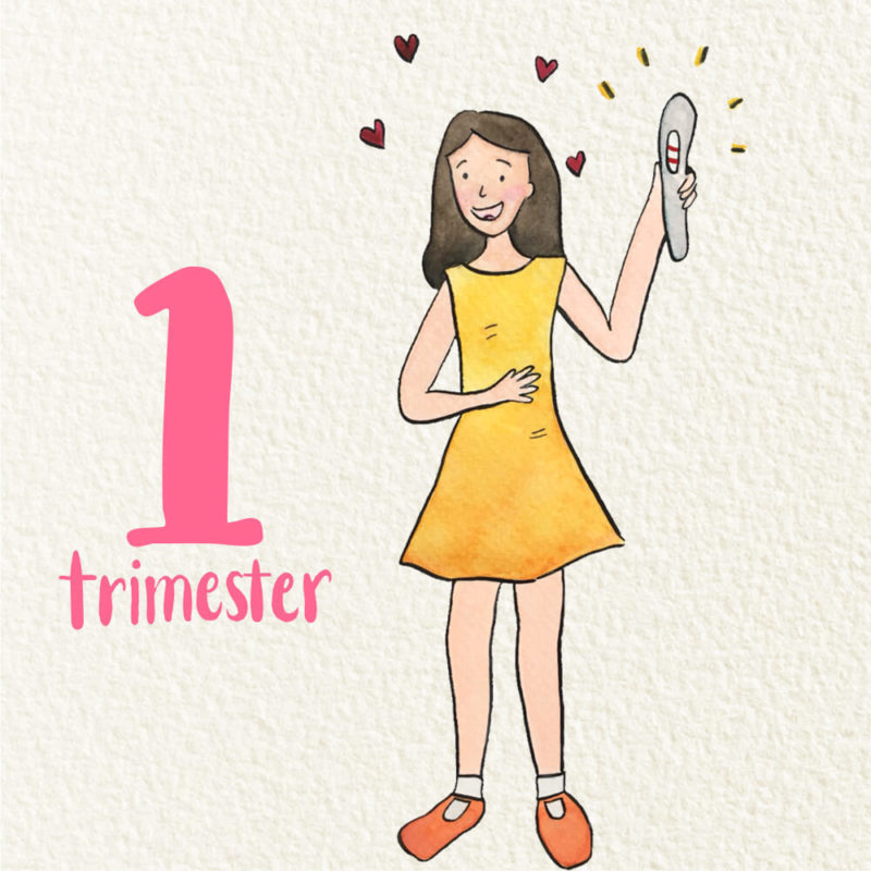 Welcome to the first trimester! - Mali Pregnancy & Parenting