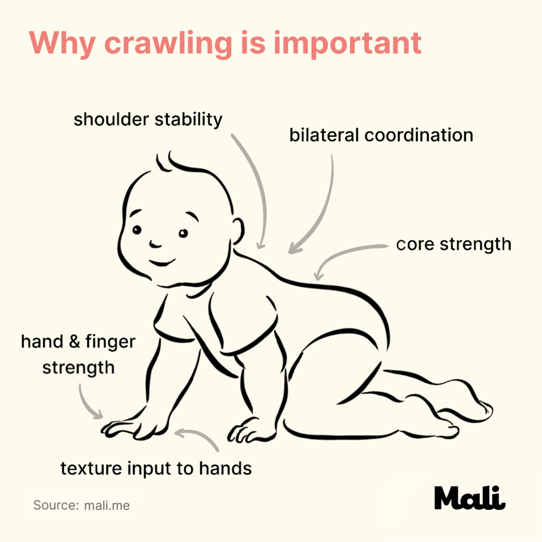 Why crawling is so important - Mali Pregnancy & Parenting