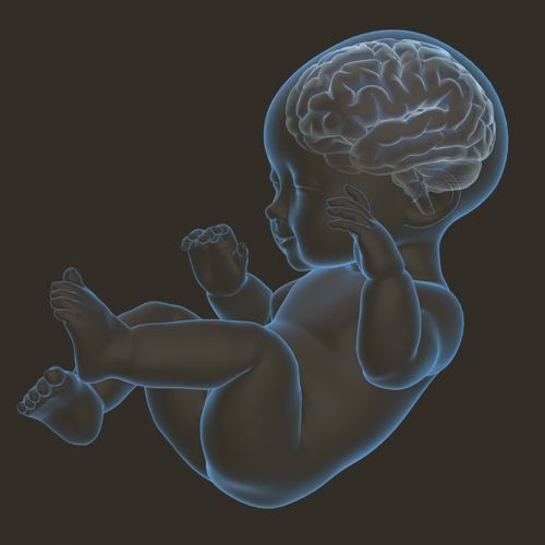 How you can support children's brain development today - Mali Pregnancy & Parenting