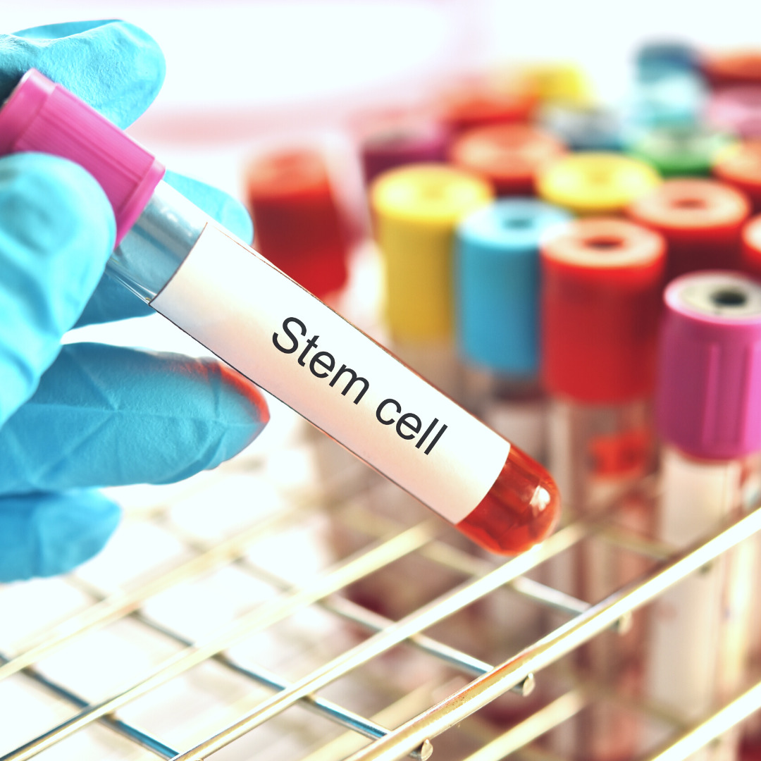 Cord Blood Stem Cells Storage in Thailand: The Ultimate 2024 Review