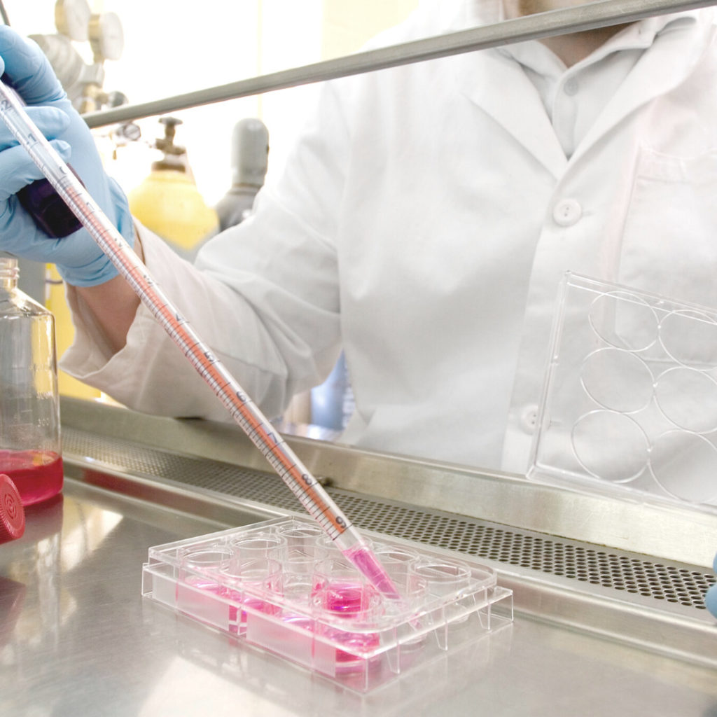 Cord Blood Stem Cells Storage in Thailand: The Ultimate 2024 Review