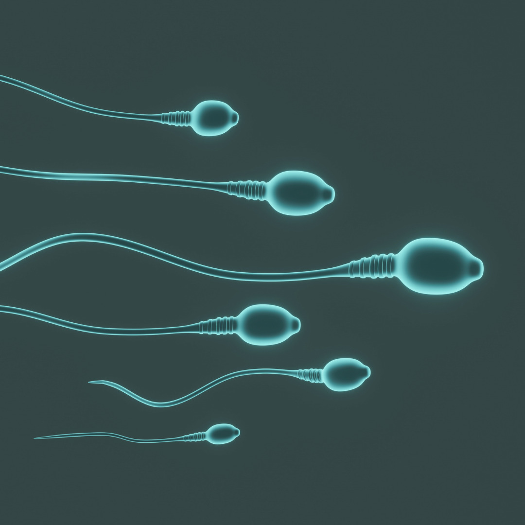 ทำความรู้จักการฝากสเปิร์ม - Mali Pregnancy & Parenting