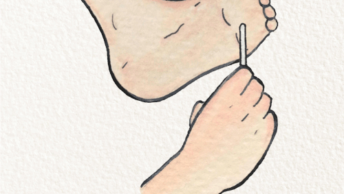 The Babinski reflex - Mali Pregnancy & Parenting