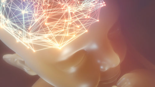 Baby brain development according to neuroscience - Mali Pregnancy ...
