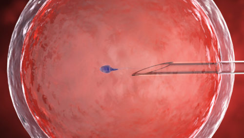 Getting pregnant with an ICSI treatment - Mali Pregnancy & Parenting